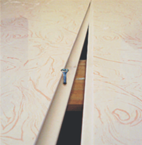 Camfly – PVC Ceiligns